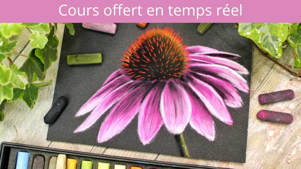 Cours GRATUIT au pastel sec débutant | Atelier Dessin & Peinture