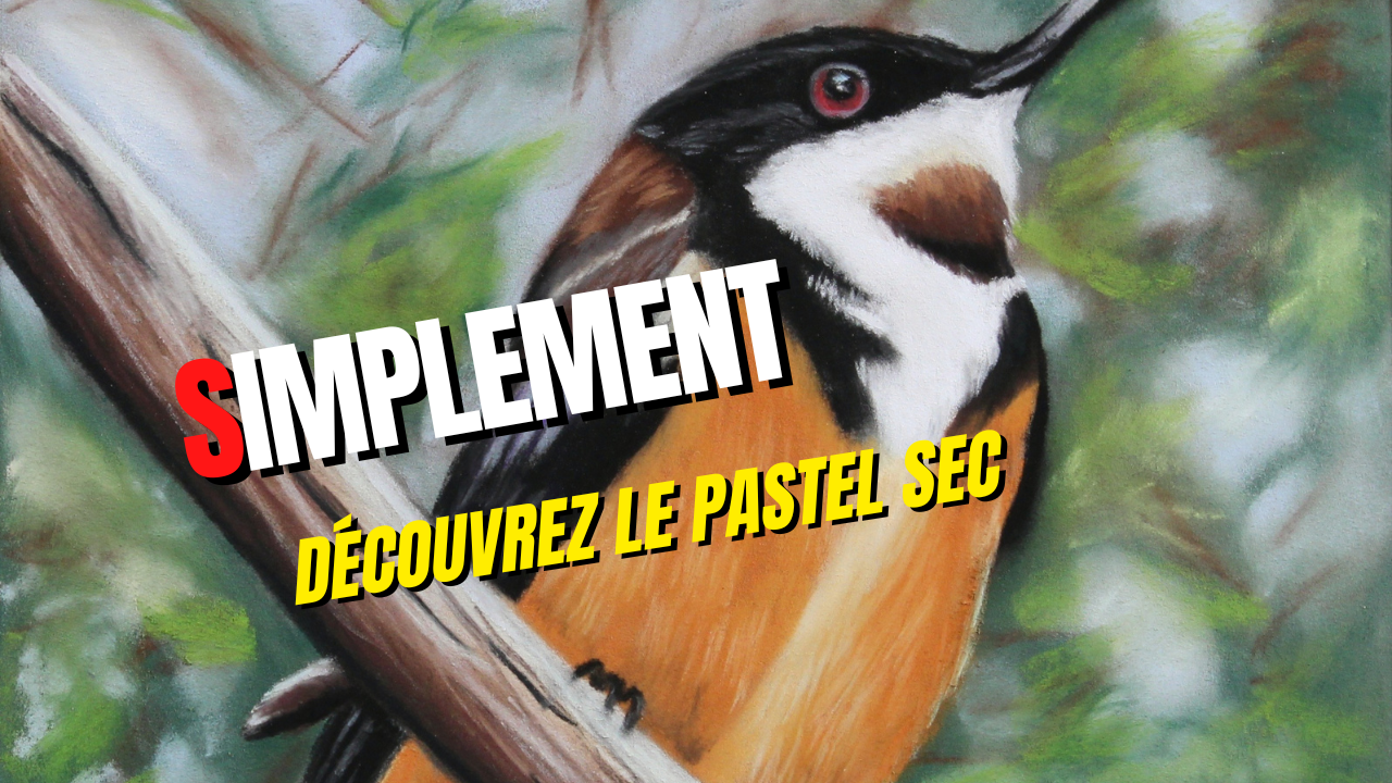 Comment utiliser le pastel sec - Techniques Pastel